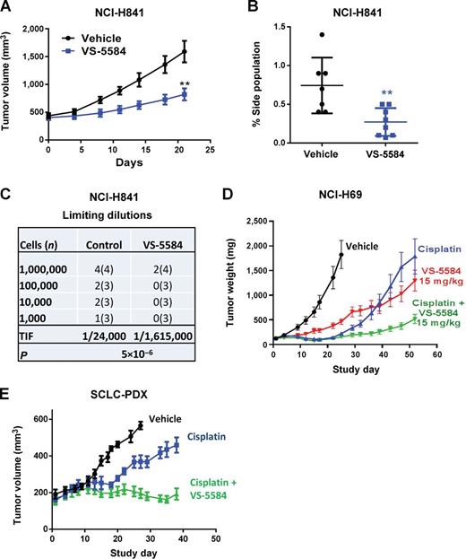 PI3K/mTOR Dual Inhibitor VS-5584 Preferentially Targets Cancer Stem ...