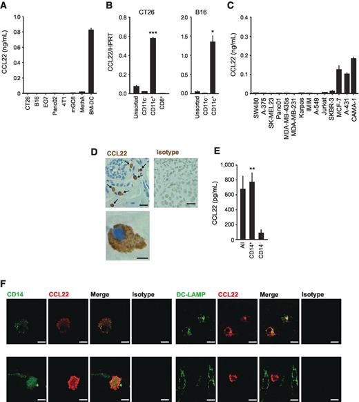 Suppression of Intratumoral CCL22 by Type I Interferon Inhibits ...