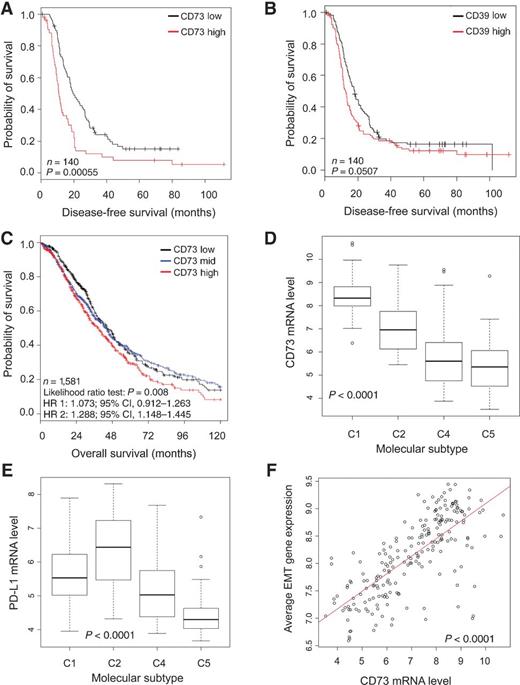 CD73 Is Associated with Poor Prognosis in High-Grade Serous Ovarian ...