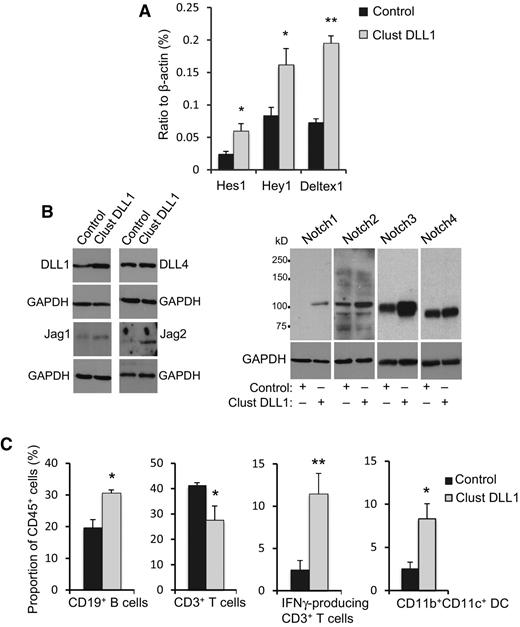 Multivalent Forms of the Notch Ligand DLL-1 Enhance Antitumor T-cell ...