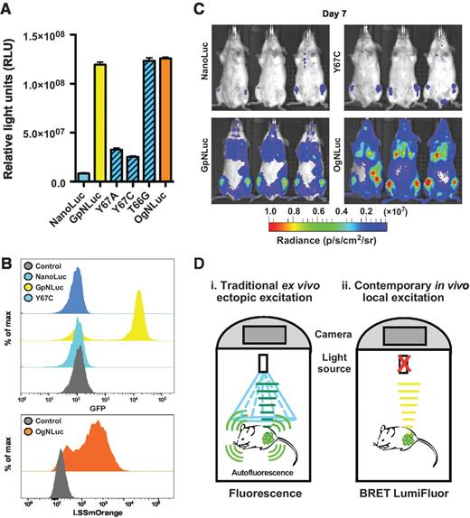 Fluorophore-NanoLuc BRET Reporters Enable Sensitive In Vivo Optical ...