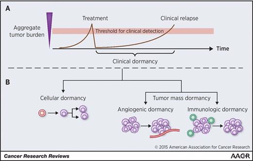 Mechanisms of Cancer Cell Dormancy—Another Hallmark of Cancer? | Cancer Research | American ...