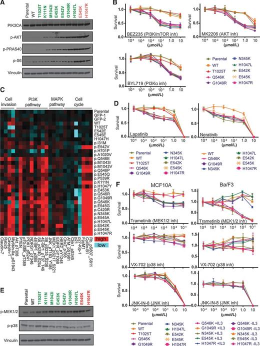 Identification of Variant-Specific Functions of PIK3CA by Rapid ...