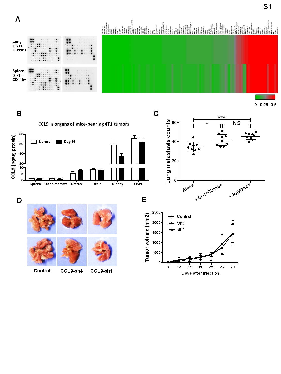 CCL9 Induced by TGFβ Signaling in Myeloid Cells Enhances Tumor Cell ...