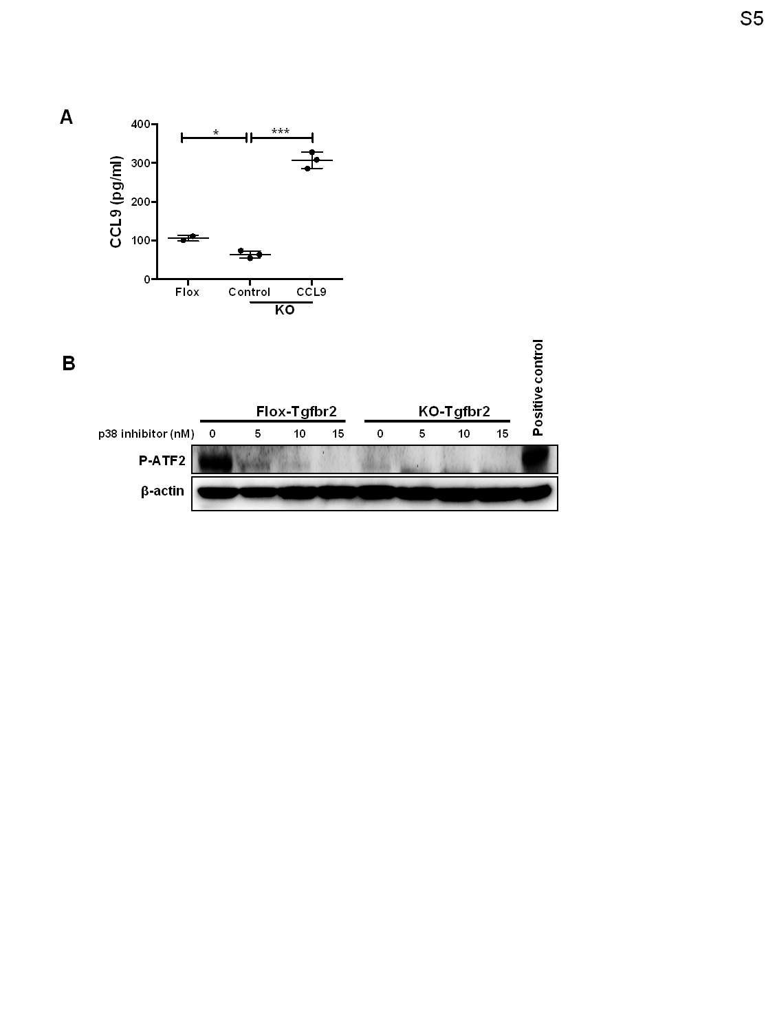 CCL9 Induced by TGFβ Signaling in Myeloid Cells Enhances Tumor Cell ...
