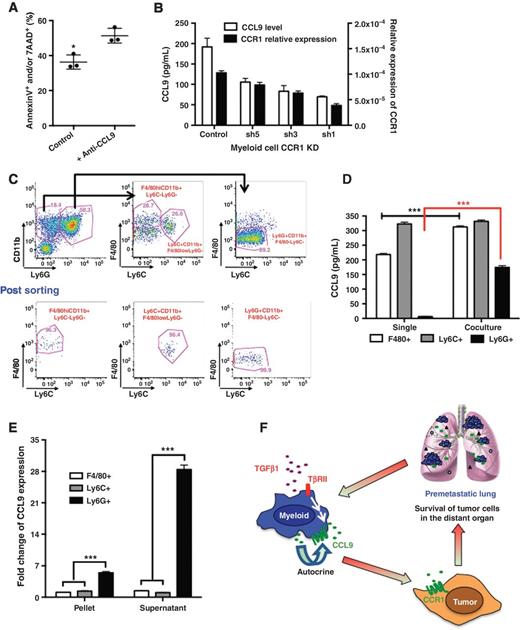 CCL9 Induced by TGFβ Signaling in Myeloid Cells Enhances Tumor Cell ...