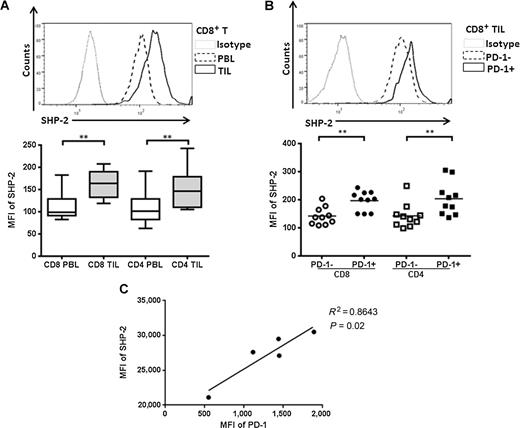 PD-1/SHP-2 Inhibits Tc1/Th1 Phenotypic Responses and the Activation of ...