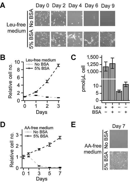 Human Pancreatic Cancer Tumors Are Nutrient Poor and Tumor Cells ...