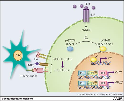 Th9 Cells: A Novel CD4 T-cell Subset in the Immune War against Cancer ...