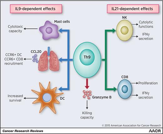 Th9 Cells: A Novel CD4 T-cell Subset in the Immune War against Cancer ...
