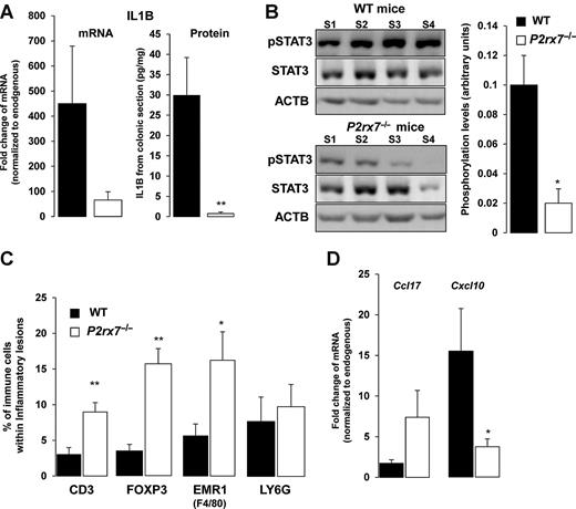 Genetic and Pharmacological Inactivation of the Purinergic P2RX7 ...