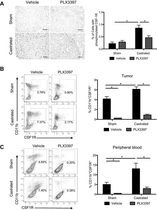 CSF1 Receptor Targeting in Prostate Cancer Reverses Macrophage-Mediated ...