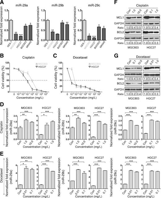Chemotherapy-Induced miRNA-29c/Catenin-δ Signaling Suppresses ...