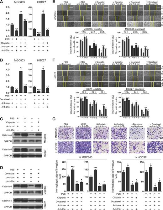 Chemotherapy-Induced miRNA-29c/Catenin-δ Signaling Suppresses ...