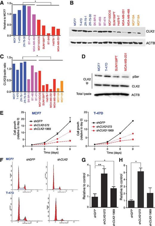 CLK2 Is an Oncogenic Kinase and Splicing Regulator in Breast Cancer ...