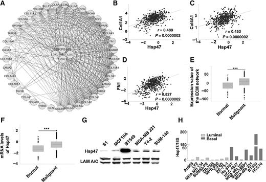 Chaperone Hsp47 Drives Malignant Growth and Invasion by Modulating an ...