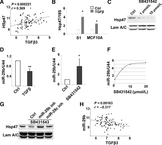 Chaperone Hsp47 Drives Malignant Growth and Invasion by Modulating an ...