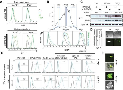 RSPO2 Enhances Canonical Wnt Signaling to Confer Stemness-Associated ...