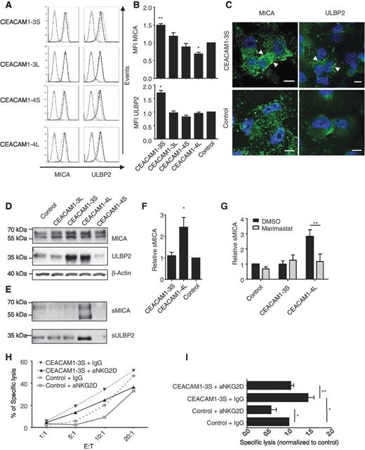 CEACAM1-3S Drives Melanoma Cells into NK Cell-Mediated Cytolysis and ...