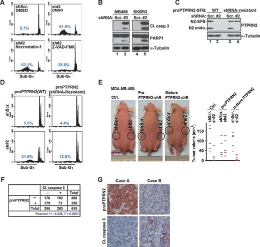 Aberrant Expression of proPTPRN2 in Cancer Cells Confers Resistance to ...