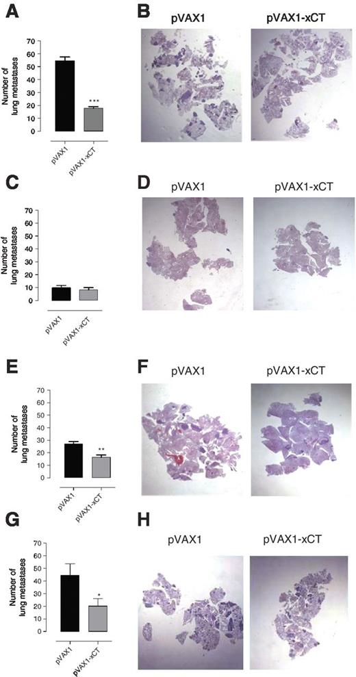 Immunotargeting of Antigen xCT Attenuates Stem-like Cell Behavior and ...