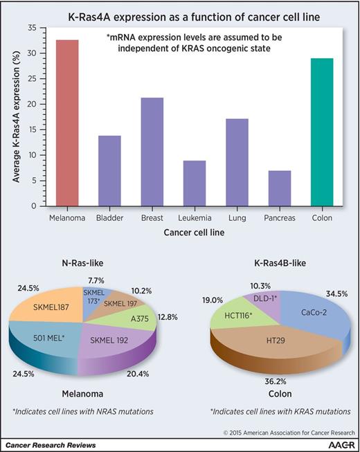 A New View of Ras Isoforms in Cancers | Cancer Research | American ...