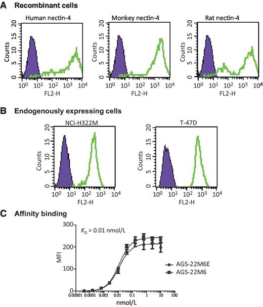 Enfortumab Vedotin Antibody–Drug Conjugate Targeting Nectin-4 Is a ...