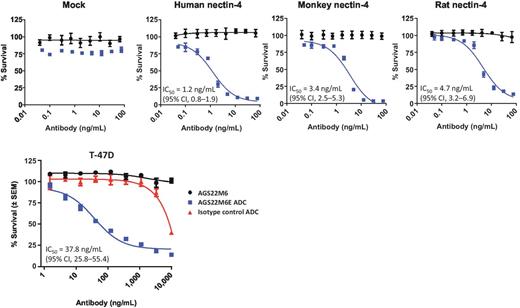 Enfortumab Vedotin Antibody–Drug Conjugate Targeting Nectin-4 Is a ...