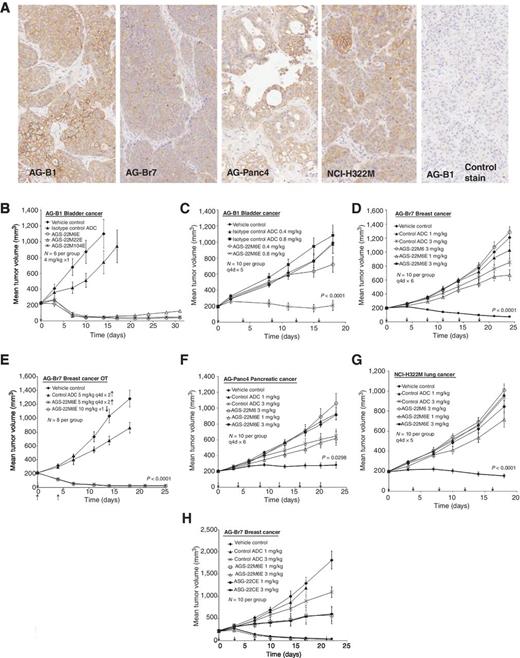 Enfortumab Vedotin Antibody–Drug Conjugate Targeting Nectin-4 Is a ...