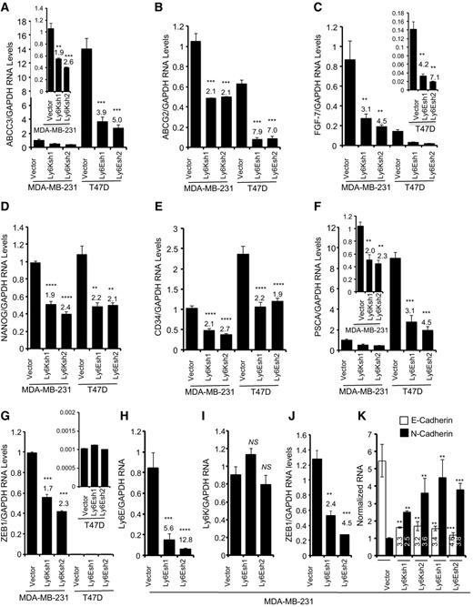 Ly6E/K Signaling to TGFβ Promotes Breast Cancer Progression, Immune ...