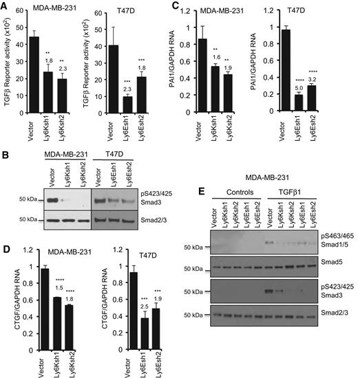 Ly6E/K Signaling to TGFβ Promotes Breast Cancer Progression, Immune ...