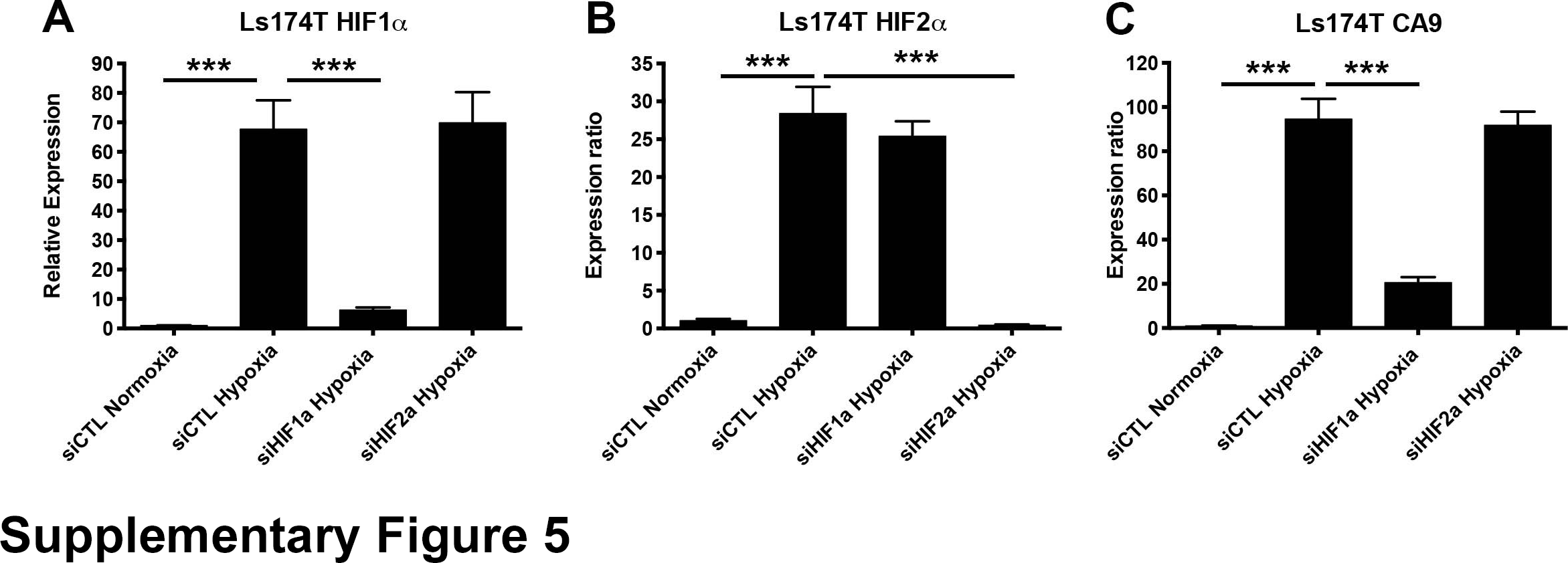 Disrupting Hypoxia-Induced Bicarbonate Transport Acidifies Tumor Cells ...