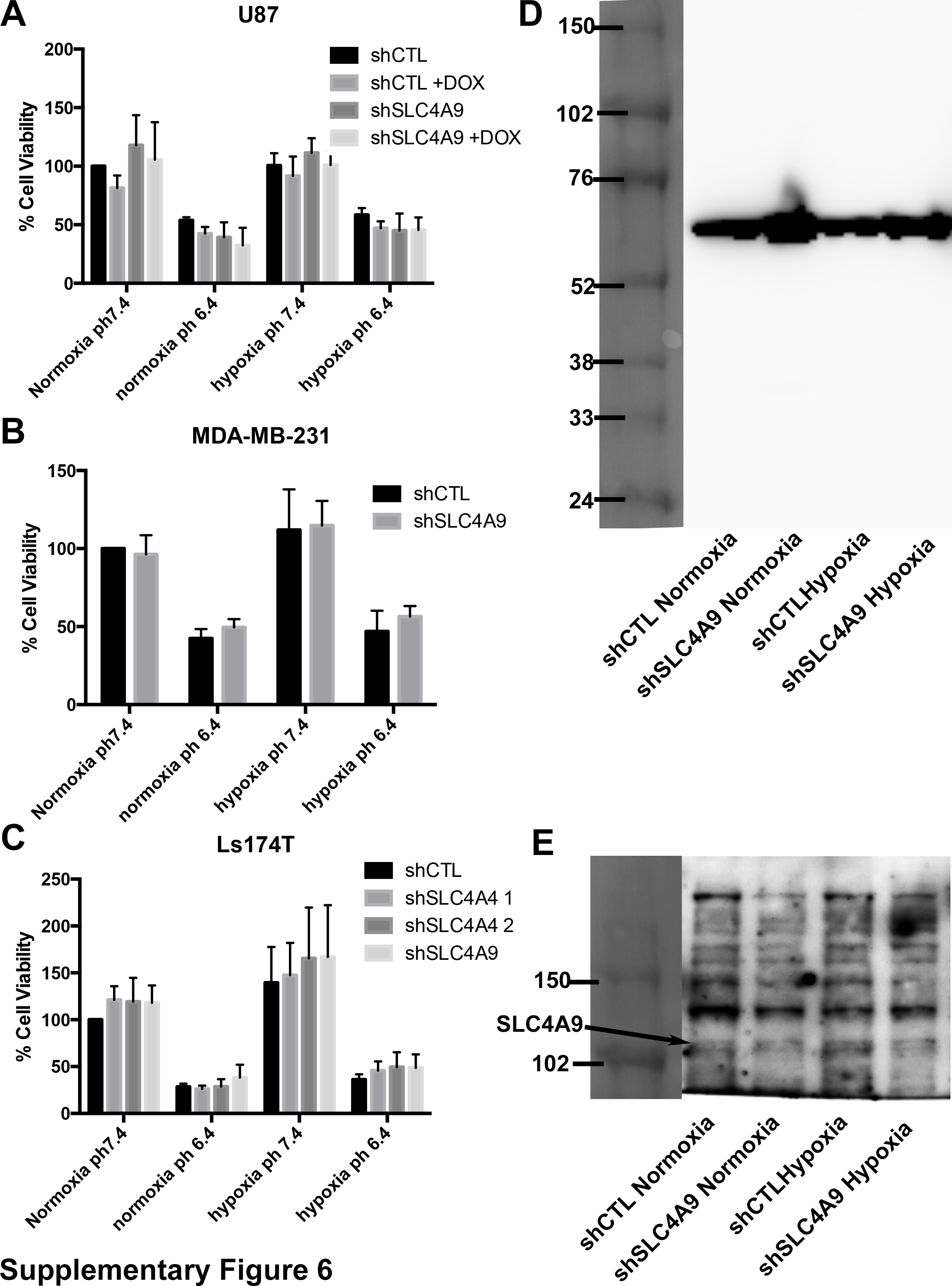 Disrupting Hypoxia-Induced Bicarbonate Transport Acidifies Tumor Cells ...