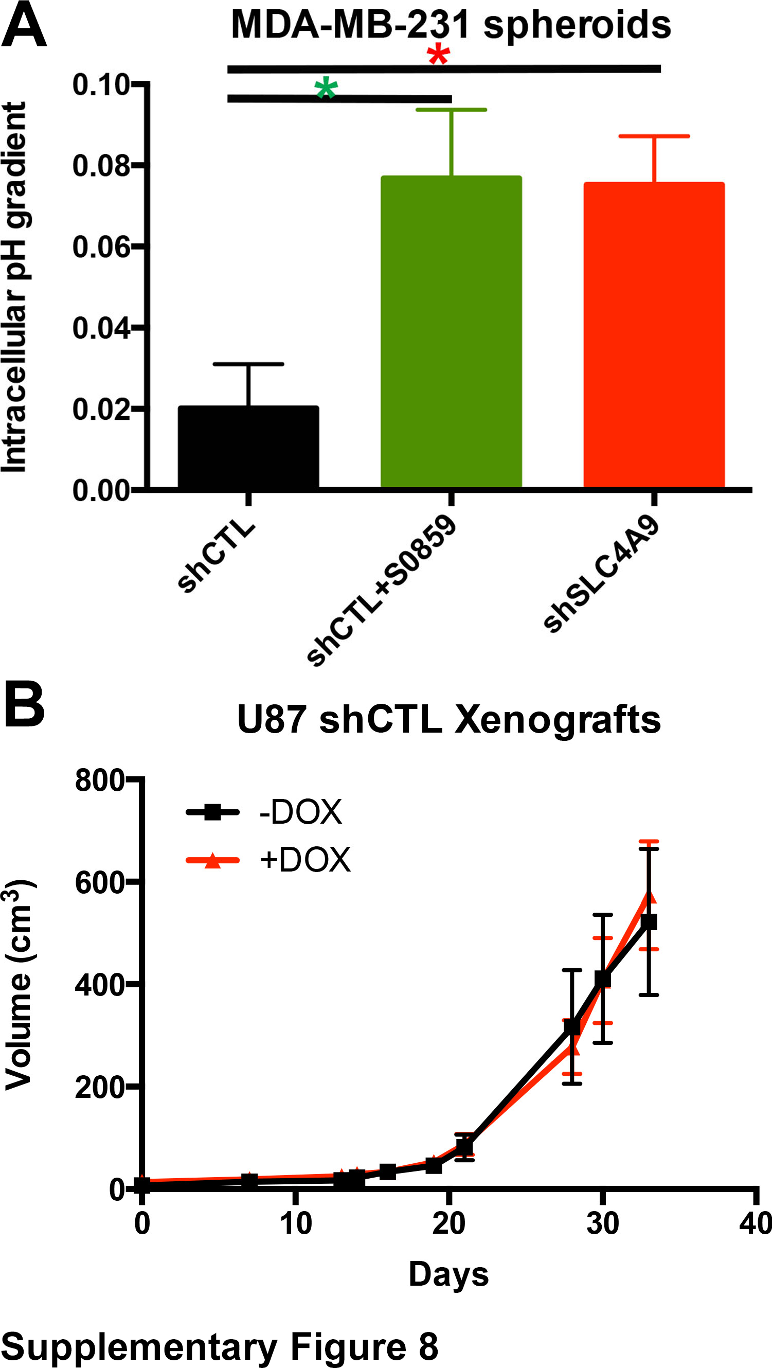 Disrupting Hypoxia-Induced Bicarbonate Transport Acidifies Tumor Cells ...