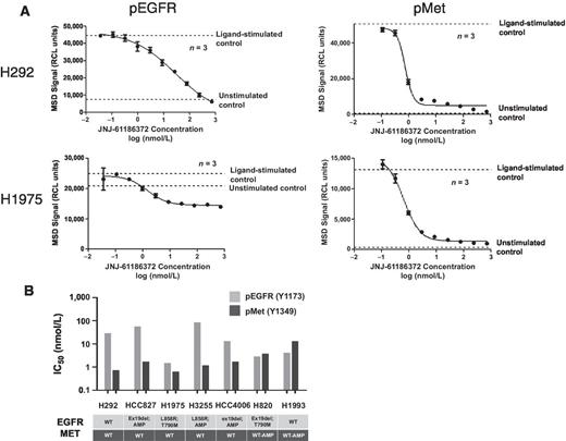 A Novel Bispecific Antibody Targeting EGFR and cMet Is Effective ...