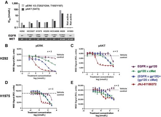 A Novel Bispecific Antibody Targeting EGFR and cMet Is Effective ...