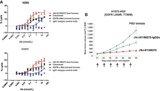 A Novel Bispecific Antibody Targeting EGFR and cMet Is Effective ...