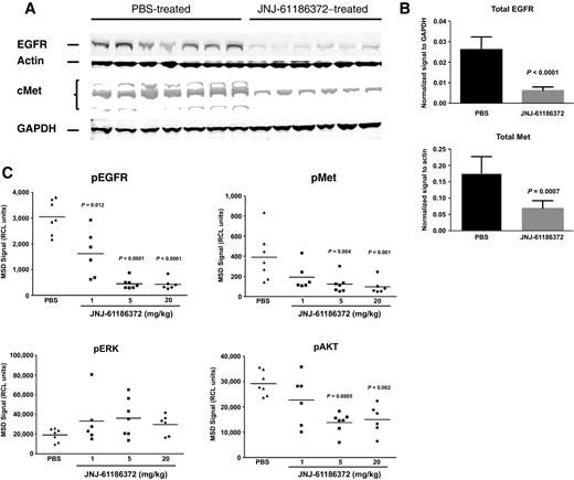 A Novel Bispecific Antibody Targeting EGFR and cMet Is Effective ...