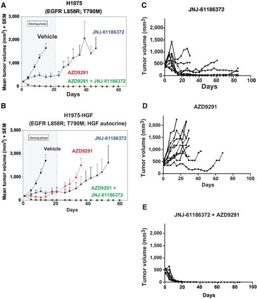 A Novel Bispecific Antibody Targeting EGFR and cMet Is Effective ...