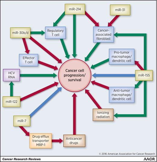 OncomiR or Tumor Suppressor? The Duplicity of MicroRNAs in Cancer ...