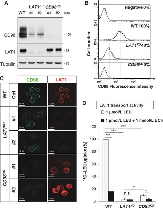 Genetic Disruption of the Multifunctional CD98/LAT1 Complex ...