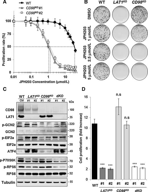 Genetic Disruption of the Multifunctional CD98/LAT1 Complex ...