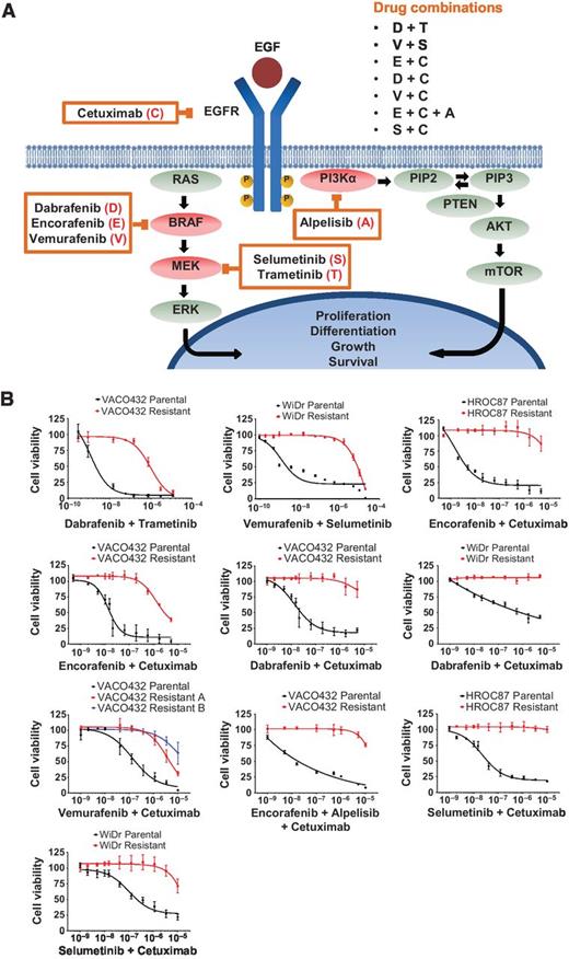 Molecular Landscape of Acquired Resistance to Targeted Therapy ...