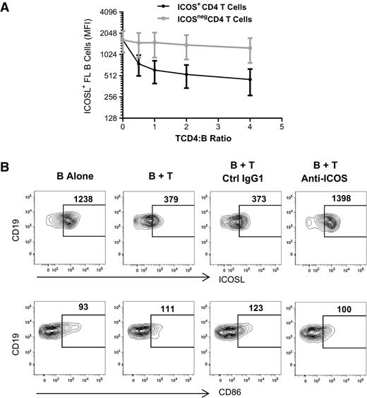 Follicular B Lymphomas Generate Regulatory T Cells via the ICOS/ICOSL ...