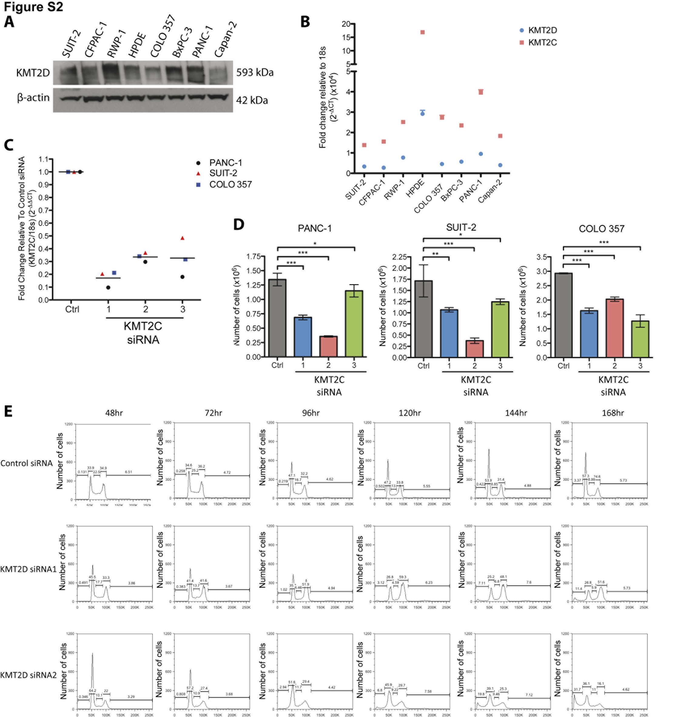 Reduced Expression of Histone Methyltransferases KMT2C and KMT2D ...