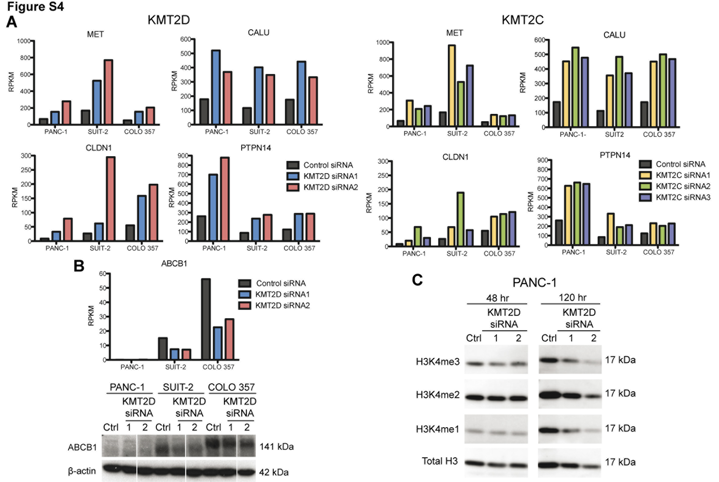 Reduced Expression of Histone Methyltransferases KMT2C and KMT2D ...