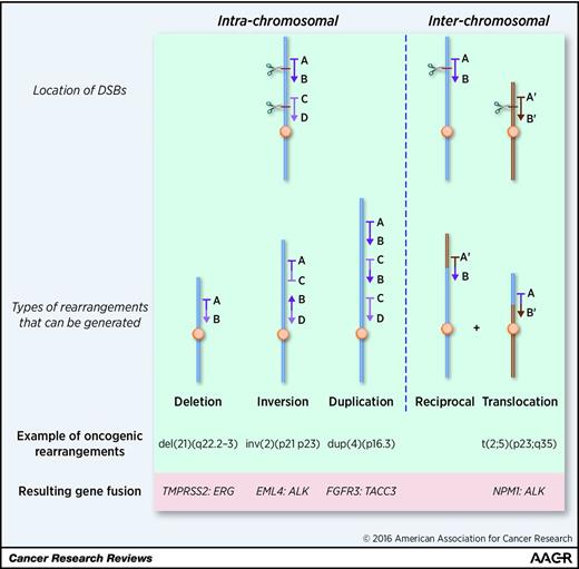Somatic Engineering of Oncogenic Chromosomal Rearrangements: A ...