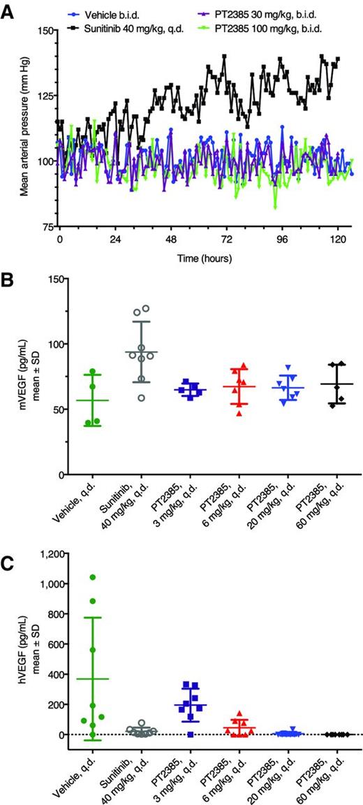 A Small-Molecule Antagonist of HIF2α Is Efficacious in Preclinical ...