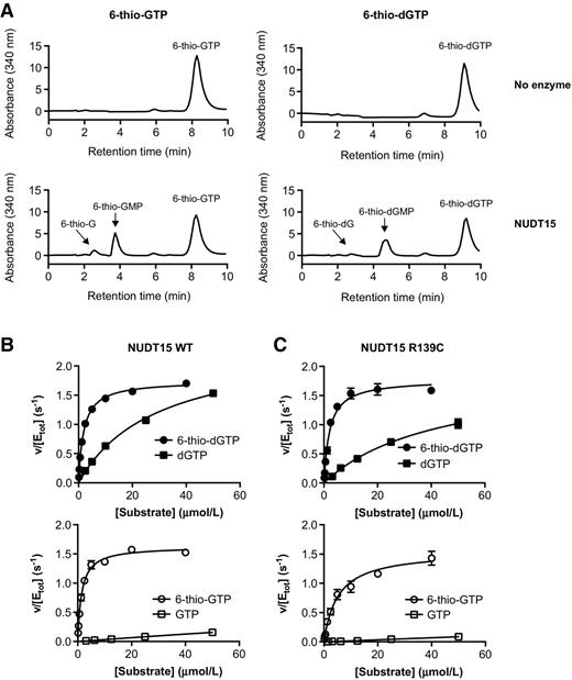 NUDT15 Hydrolyzes 6-Thio-DeoxyGTP to Mediate the Anticancer Efficacy of ...