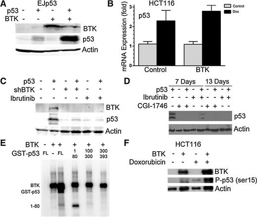 BTK Modulates p53 Activity to Enhance Apoptotic and Senescent Responses ...